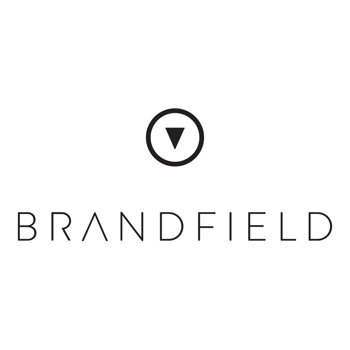 Dé Payment Service Provider van Nederland